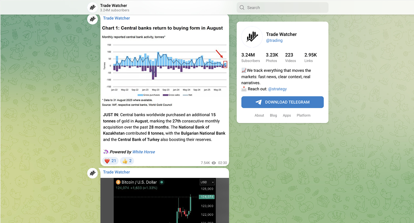 Top 7 Stock Telegram Channels for Your Next Investment - Global One ...